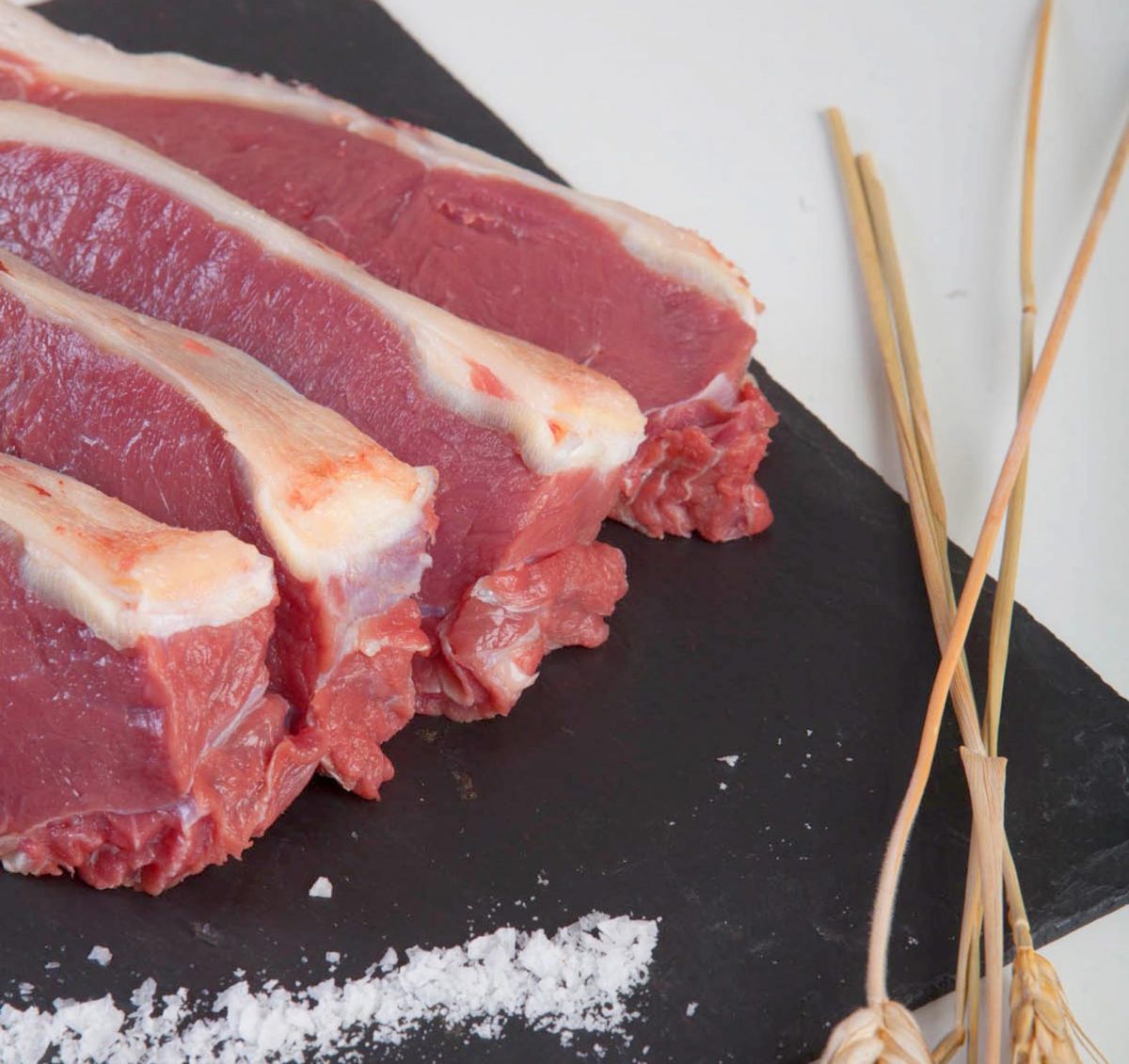 Saura Vilanova – Carne de Potro